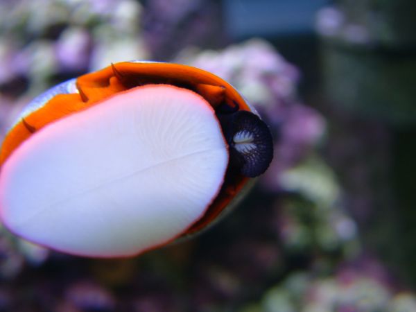 Macro Shots - 7.11.03