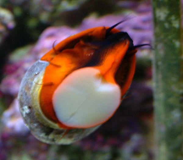 Macro Shots - 7.11.03